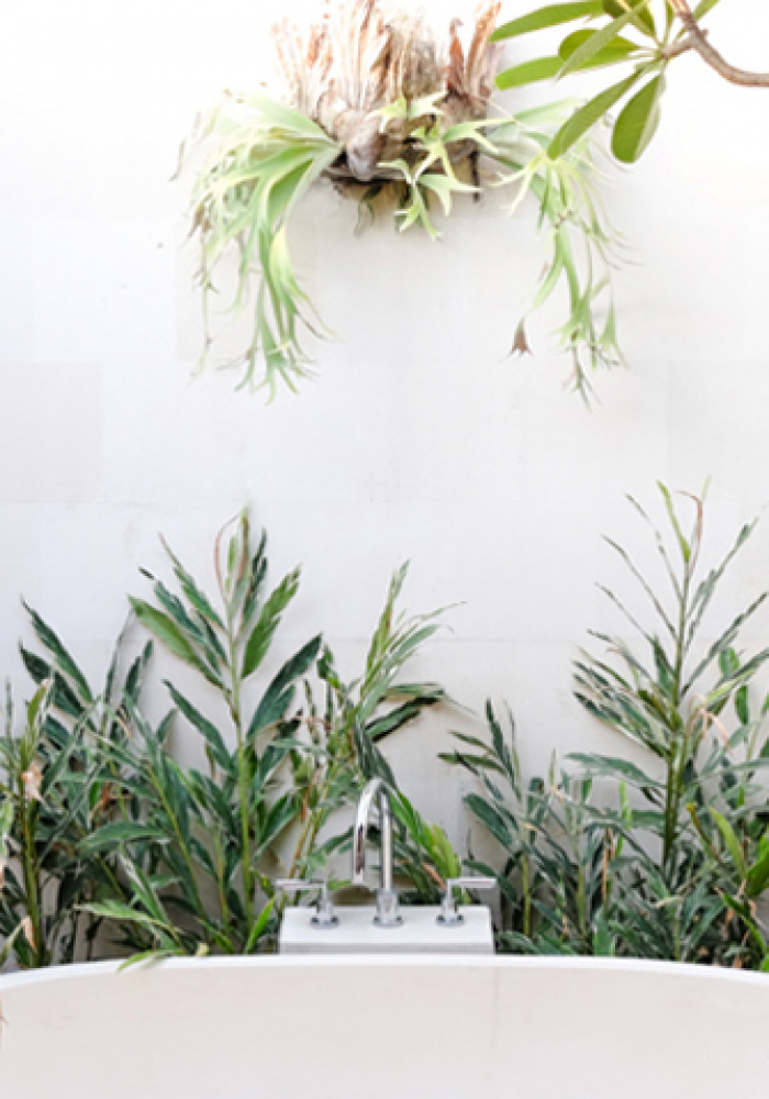 Limasan | Kalapa Resort & Yoga Retreat